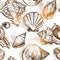 Seamless Pattern from of Different Shapes Shell Sketches Stock Vector ...