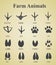 Set of farm animal tracks stock vector. Illustration of donkey - 52640900