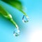 Shine water drop stock photo. Image of bright, close - 12787842