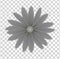 Simple Flower on a Transparent Background Stock Vector - Illustration ...