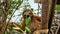 6,772 Sloth Animal Kick Stock Photos - Free & Royalty-Free Stock Photos ...