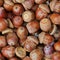 Stack of acorns stock image. Image of organic, nature - 78645049