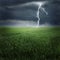 Storm on the field II stock image. Image of weather, grain - 18779069