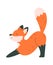 Stretching Fox Animal stock vector. Illustration of character - 283075200
