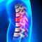 T6 Disc - Thoracic Spine Anatomy Stock Illustration - Illustration of ...