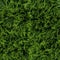 Grass Top View, Seamless Texture Stock Photo - Image of texture, ground ...