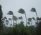 Tropical storm stock image. Image of hazy, wind, season - 9404295