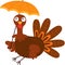 Turkey Holding Umbrella stock vector. Illustration of protection ...