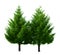 Two Pine Trees stock photo. Image of shape, object, wood - 5775538