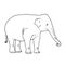 Vector Hand Drawn Asian Elephant Outline Illustration Stock ...