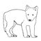 Vector Hand Drawn Wolf Cub Outline Illustration Stock Vector ...