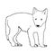 Vector Hand Drawn Wolf Cub Outline Illustration Stock Illustration ...