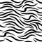 Vector Seamless Pattern with Zebra Print. Black Curved Stripes O Stock ...