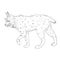 Vector Sketch Lynx Side View Illustration Stock Vector - Illustration ...