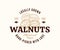 Vector walnut label design stock illustration. Illustration of ...