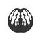 Walnuts Icon stock illustration. Illustration of cartoon - 296706177