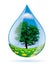 Water Drop with a Landscape Stock Illustration - Illustration of water ...