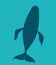 Whale Top View Vector Illustration in Simple Flat Modern Style Stock ...
