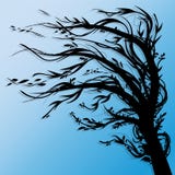 Wind Blown Tree stock vector. Illustration of symbol - 44326642