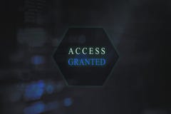 Access Granted Computer Screen Stock Illustration - Illustration of ...