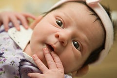 Alert Newborn Baby Infant stock photo. Image of expressive - 4702372