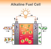The Alkaline Fuel Cell. Health Care Education Infographic. Vector ...