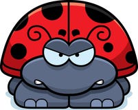 Angry Ladybug stock vector. Illustration of cartoon, angry - 14046150