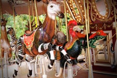 Carousel animals stock image. Image of francisco, camel - 8007193