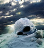 Human Skull Royalty Free Stock Photo - Image: 8323465