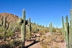 Skyline of Yuma, Arizona stock photo. Image of border - 27444288