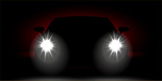 Koplampen In Donker Bos Met De Bomen Van De Misttrog Stock Foto ...