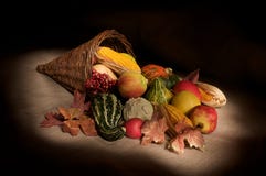 Autumn Cornucopia stock photo. Image of flower, autumn - 1439536