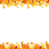 Maple Footer / Autumn Leaves Stock Illustration - Illustration of ...