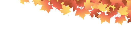 Maple Footer / Autumn Leaves Stock Illustration - Illustration of ...