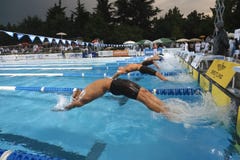 Swimmer Diving Off Starting Block Stock Images - Image: 3692064