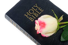 Red Rose Bible Stock Photos, Images, & Pictures - 272 Images
