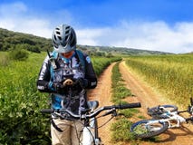 Bike turtle stock vector. Illustration of cute, animal - 8282067