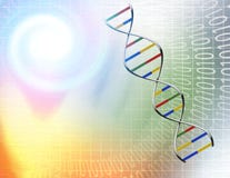 DNA Binary stock image. Image of researcher, technology - 40556121