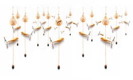 Birds Fly Back Home Stock Photography - Image: 33188922