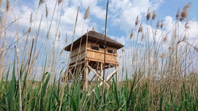 Bird Watching Tower Stock Photos, Images, & Pictures - 217 Images