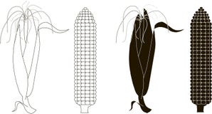 Corn On The Cob Silhouette Stock Photography - Image: 35839132