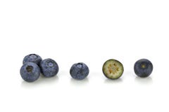 Halved Blueberry Blueberries Stock Images - Download 36 Royalty Free Photos