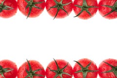 Salad and tomato border stock image. Image of garden, macro - 2319031