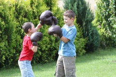 Boy Boxing - Brothers Royalty Free Stock Photo - Image: 4761495