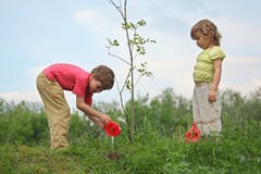 Boy and girl plant tree stock photo. Image of gardening - 10503320