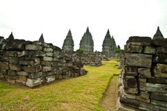 A Beautiful Spotted Brahman Cow Stock Photo - Image: 70609385