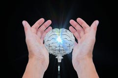 Brain Hands Stock Photos - Royalty Free Pictures