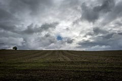 Dark Horizon stock illustration. Illustration of nature - 297460