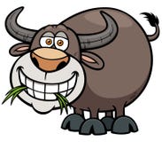 Kalabaw Clipart Flowers