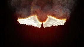 Burning Wings stock vector. Illustration of flight, burning - 26181576